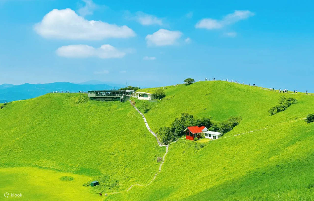 [Small Group of 9] Izu Mount Omuro/Cactus Park & Ocean View Train (with ...